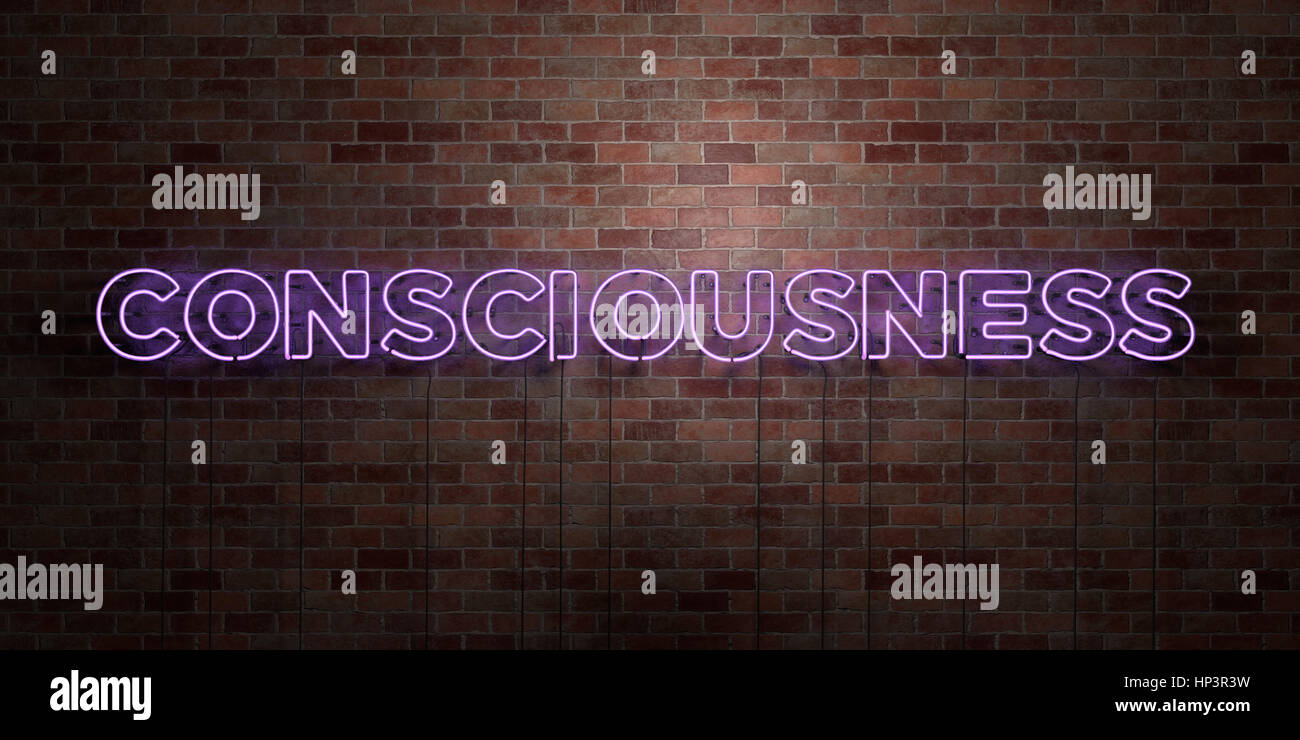 CONSCIOUSNESS - fluorescent Neon tube Sign on brickwork - Front view ...