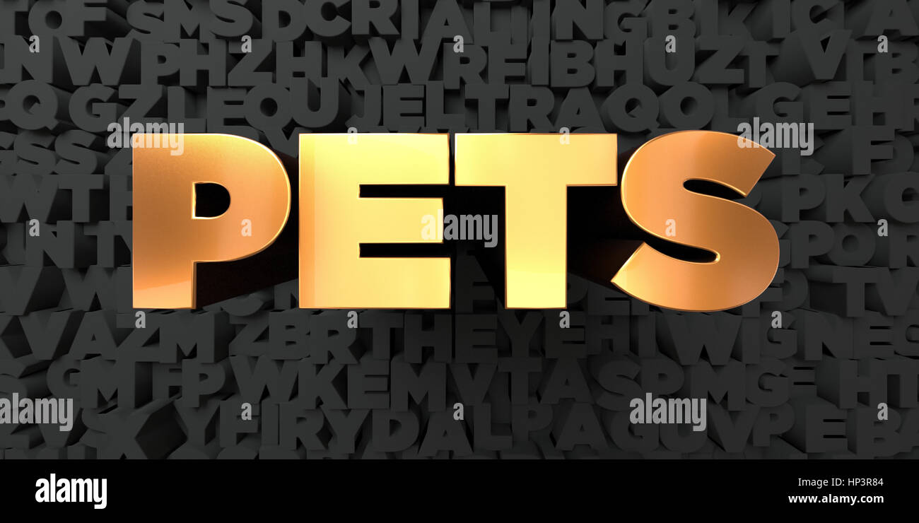Pets - Gold text on black background - 3D rendered royalty free stock ...