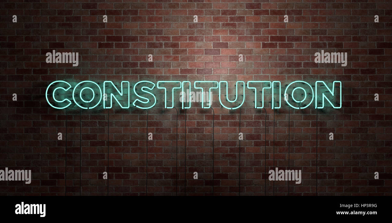 CONSTITUTION - fluorescent Neon tube Sign on brickwork - Front view ...