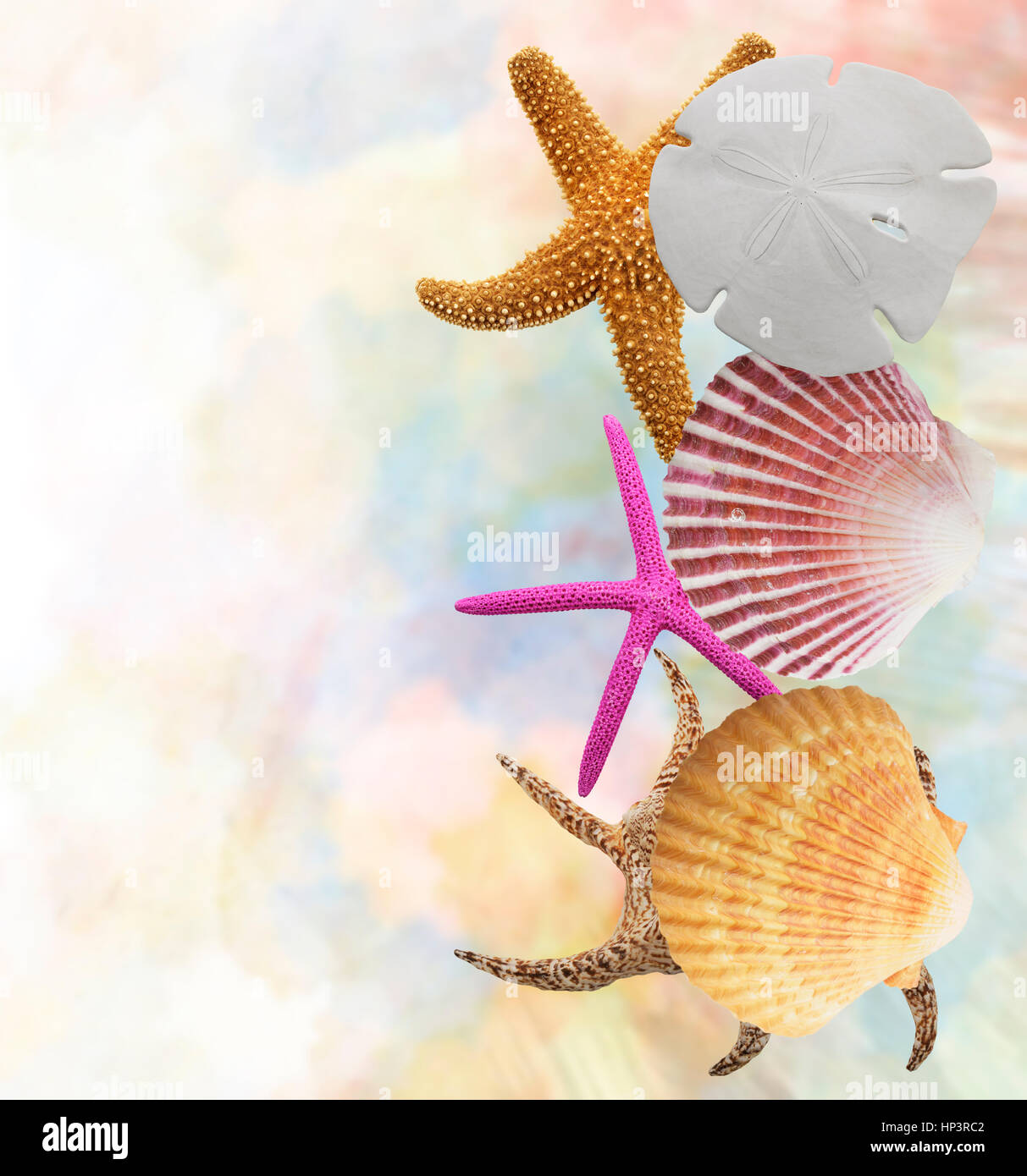 Sea Shells and Sea Stars Background Stock Photo - Alamy