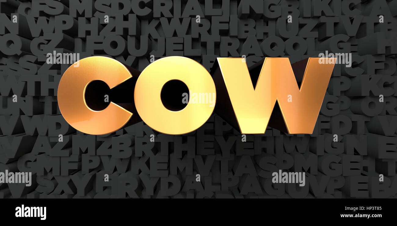 Cow - Gold text on black background - 3D rendered royalty free stock ...