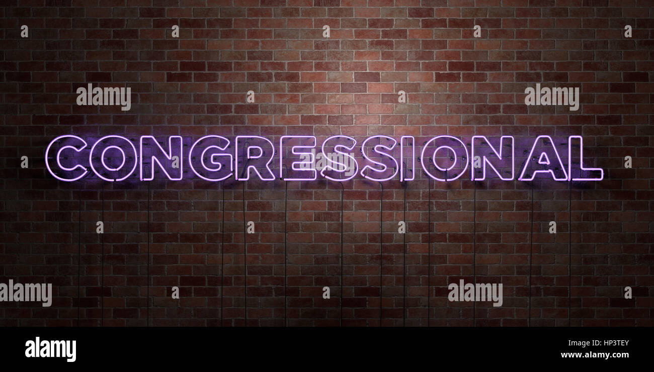 CONGRESSIONAL - fluorescent Neon tube Sign on brickwork - Front view ...