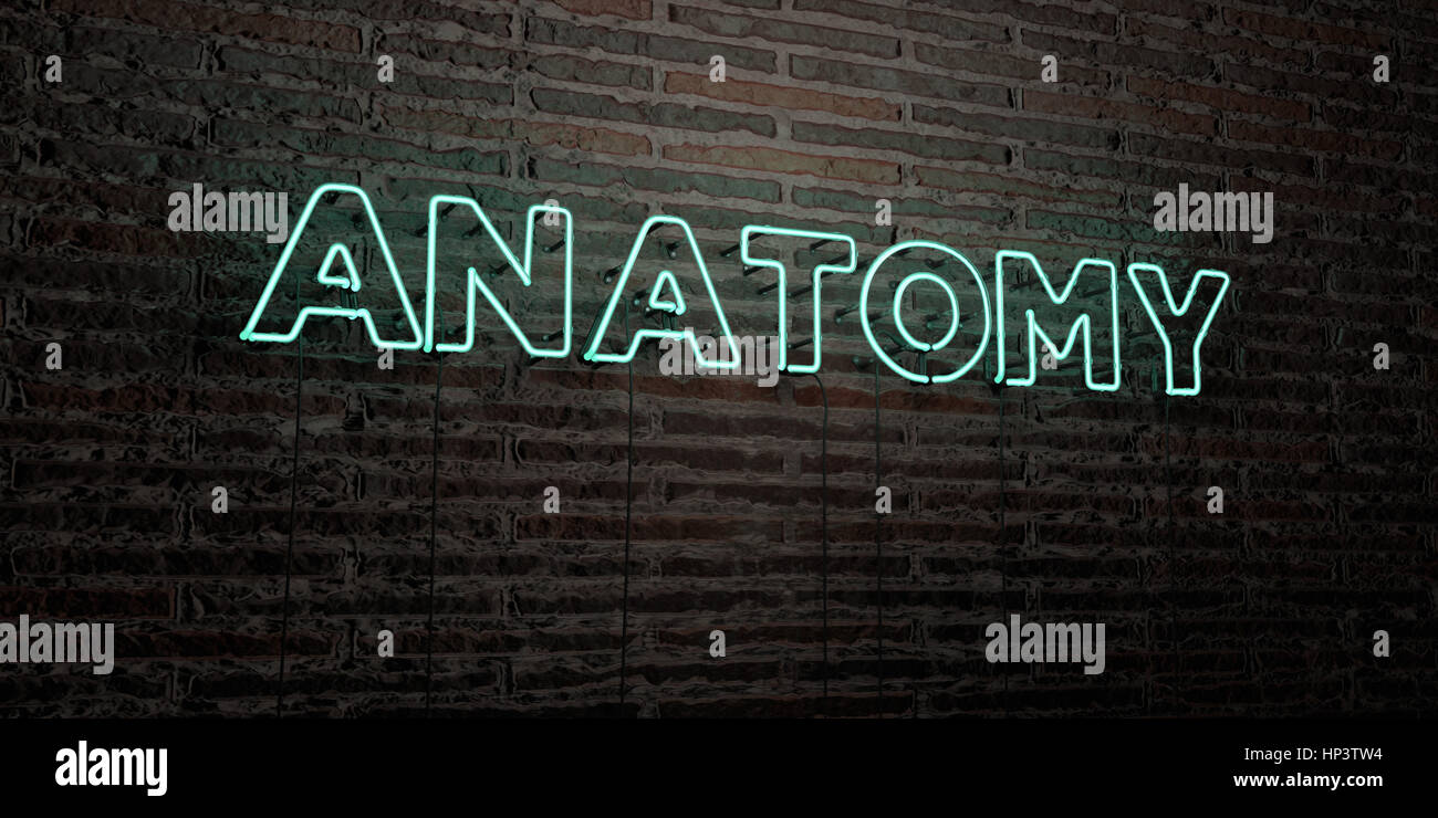 ANATOMY -Realistic Neon Sign on Brick Wall background - 3D rendered ...