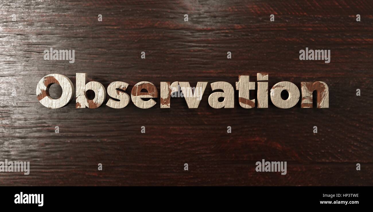 The Word Observation