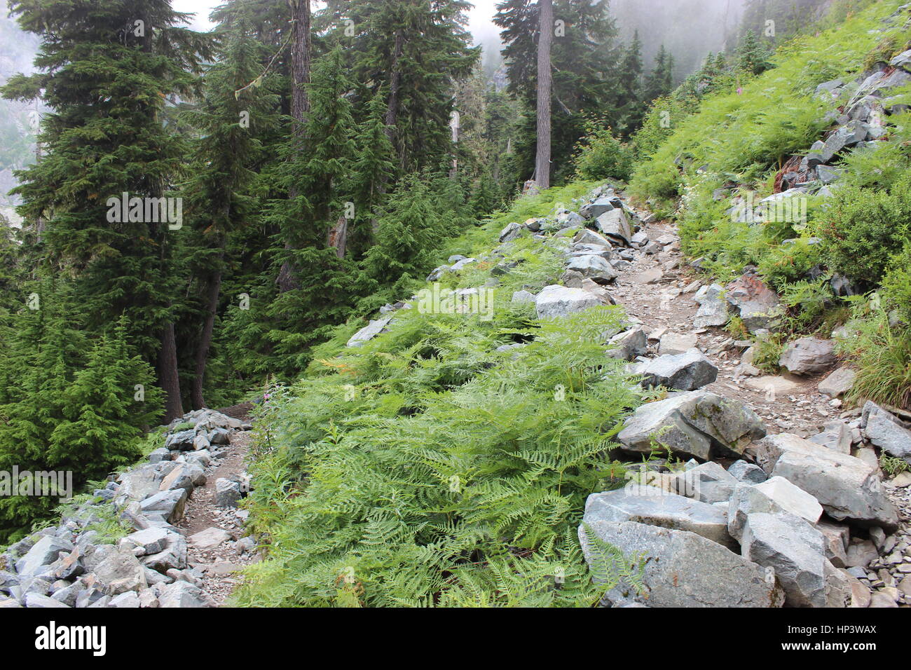 Cascade Mountains, Washington, USA Stock Photo - Alamy