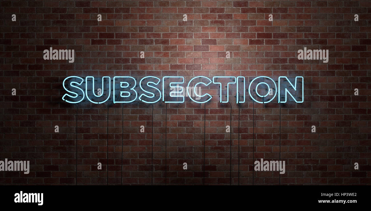 SUBSECTION - fluorescent Neon tube Sign on brickwork - Front view - 3D ...
