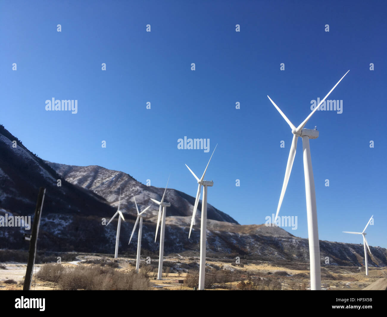 Environmentally friendly wind turbines with massive blades turn in the ...