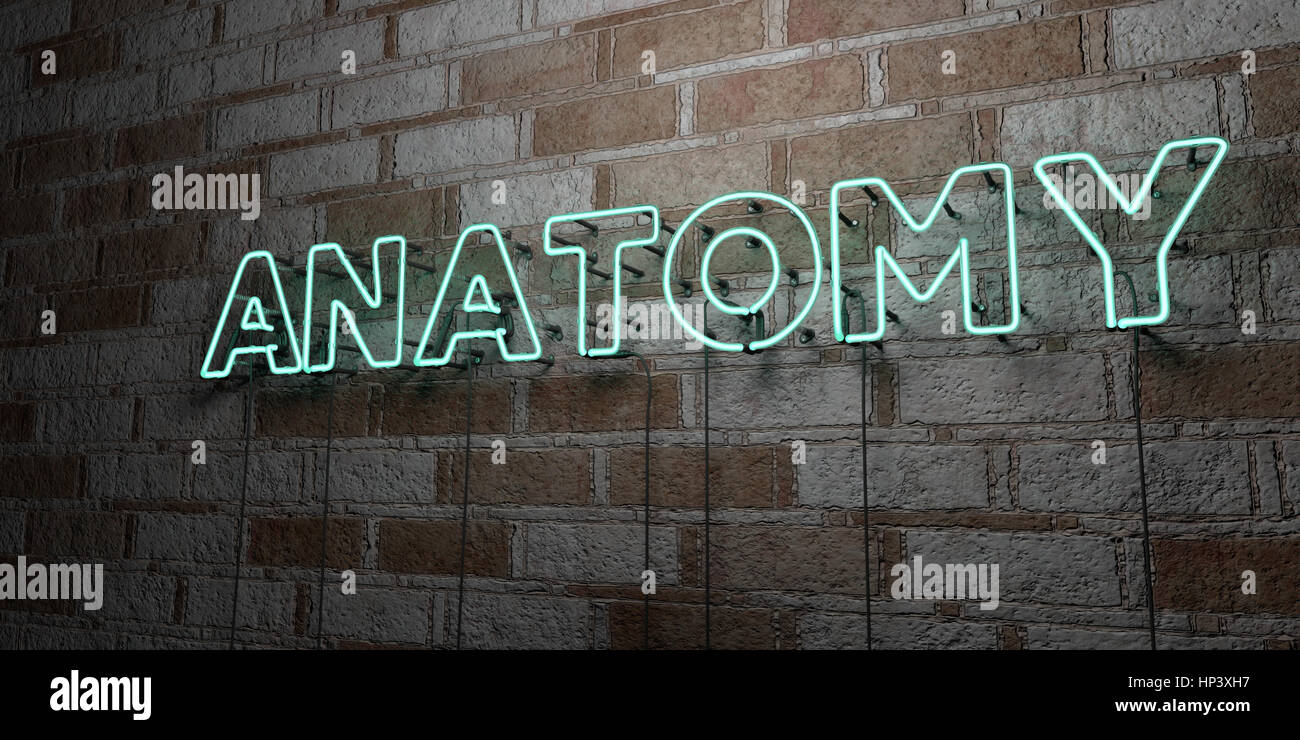 ANATOMY - Glowing Neon Sign on stonework wall - 3D rendered royalty ...