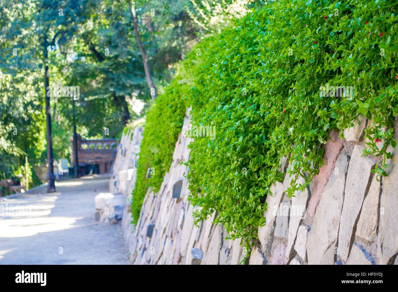 Half green grass and half stoned wall Stock Photo - Alamy