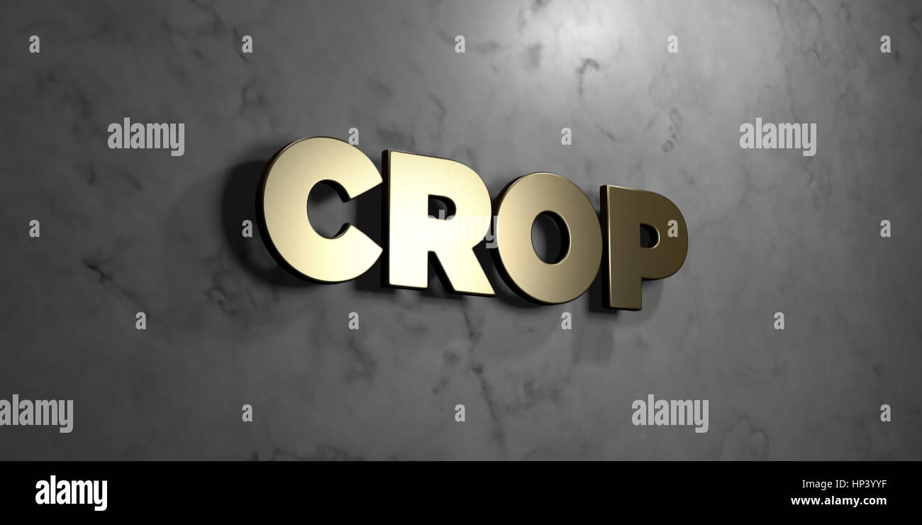 Crop - Gold sign mounted on glossy marble wall - 3D rendered royalty ...