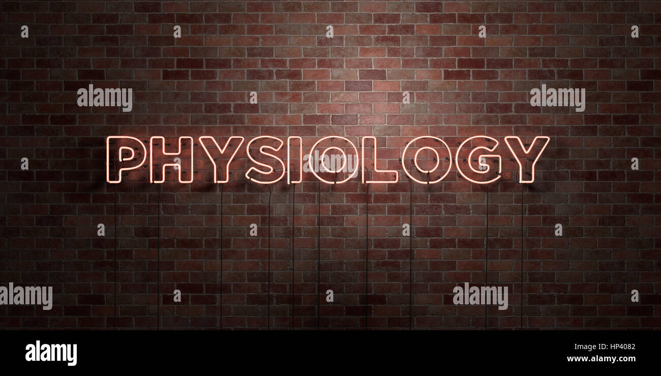 PHYSIOLOGY - fluorescent Neon tube Sign on brickwork - Front view - 3D ...