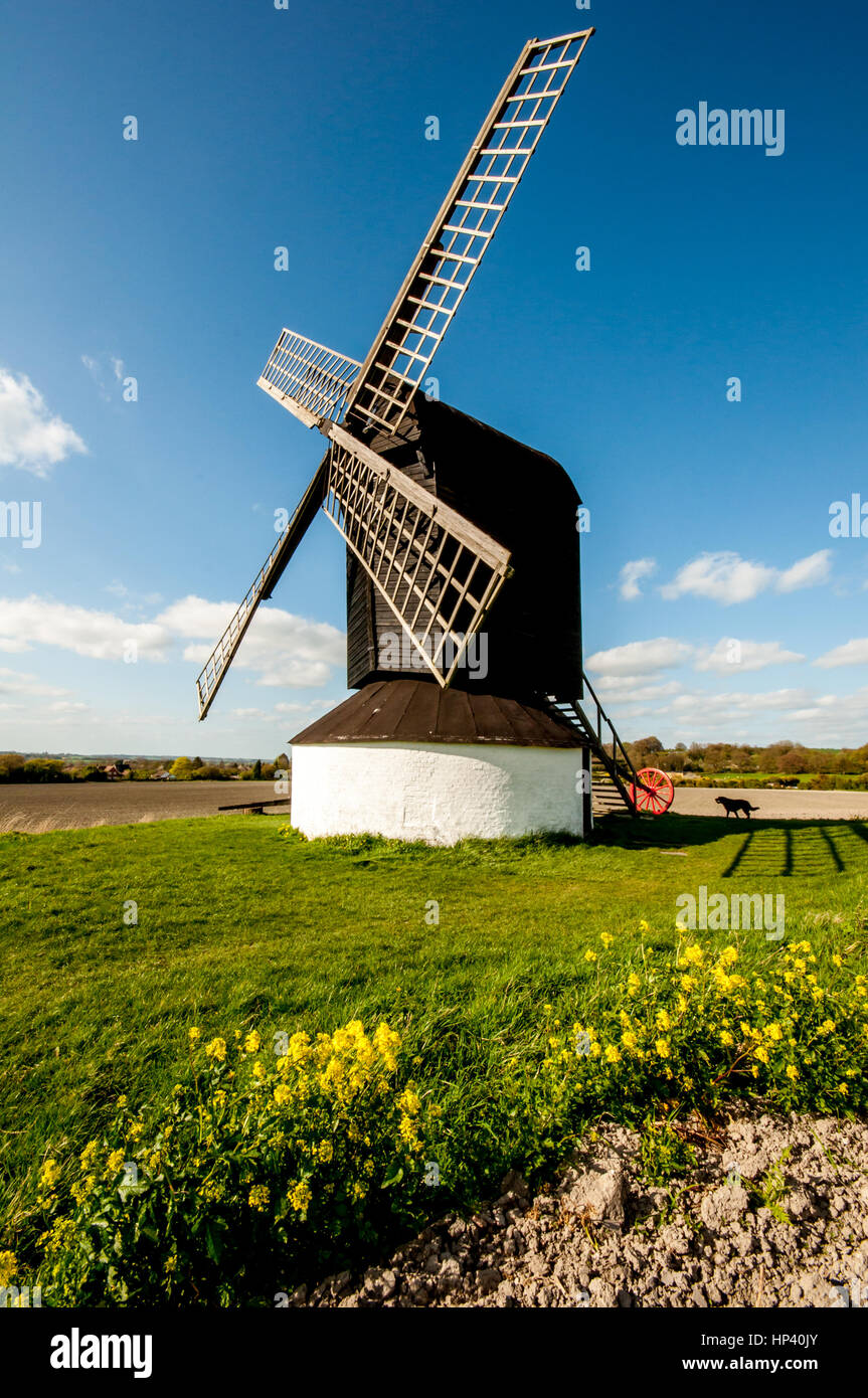 Pitstone Widmill at spring Stock Photo - Alamy