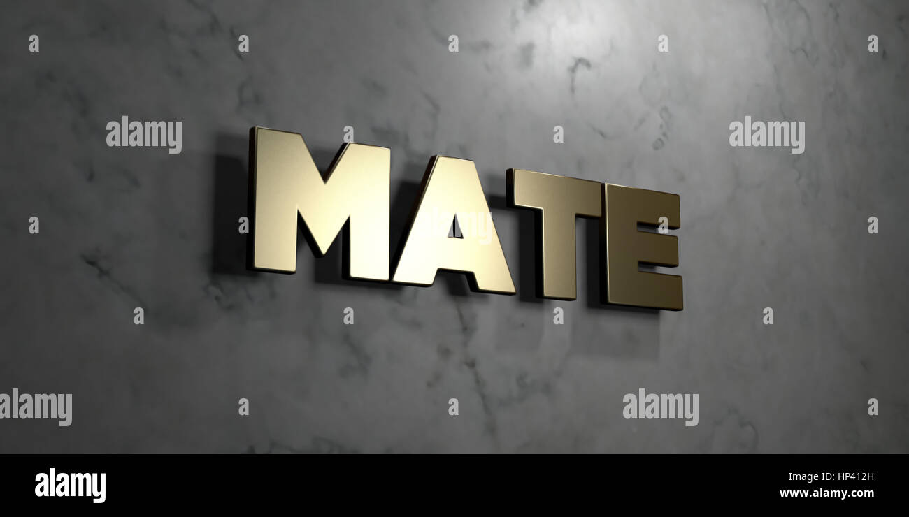 Mate - Gold sign mounted on glossy marble wall - 3D rendered royalty ...