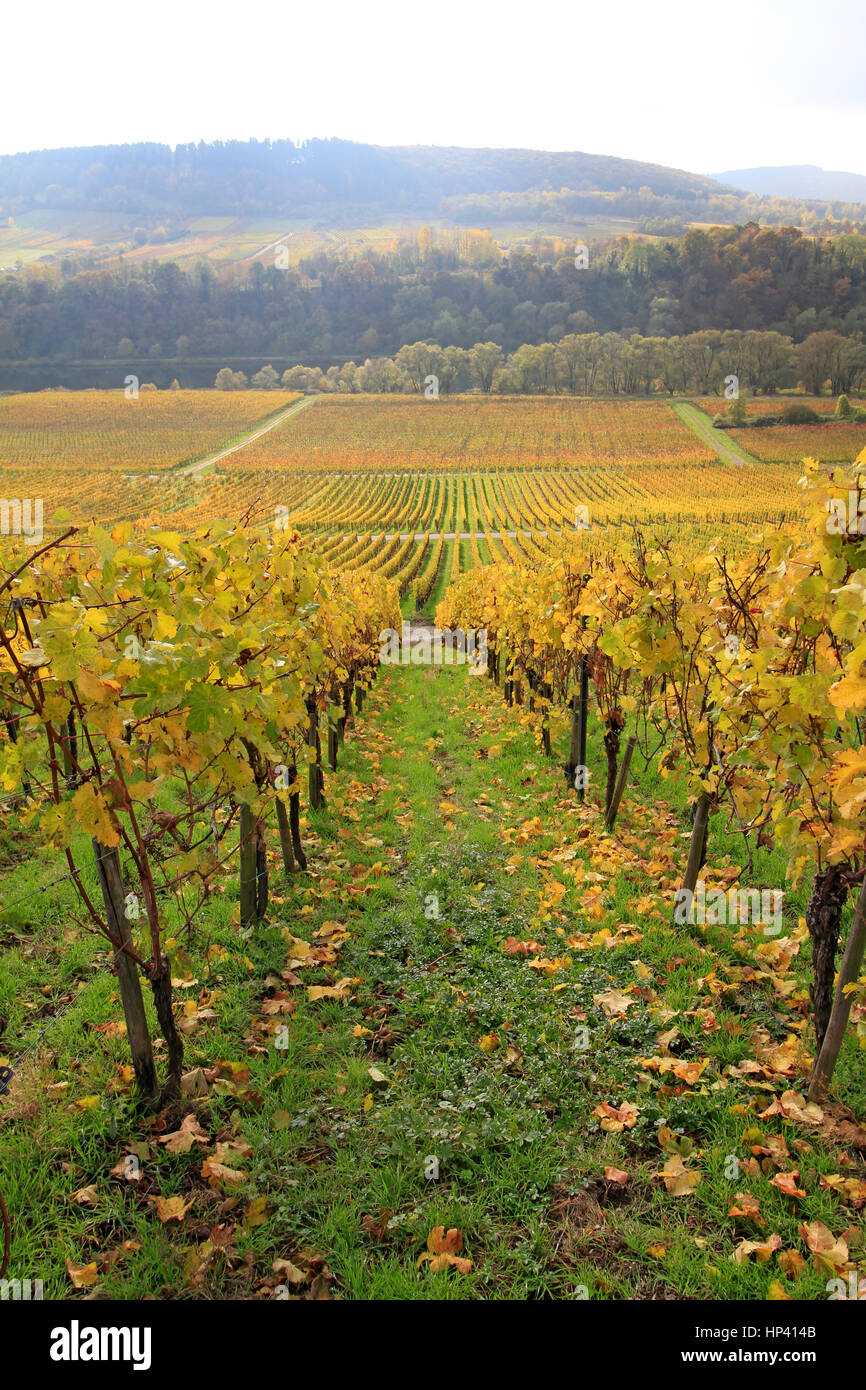 Zell mosel hi-res stock photography and images - Alamy