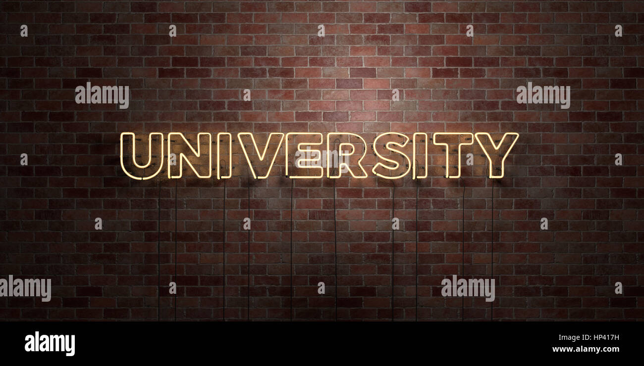 UNIVERSITY - fluorescent Neon tube Sign on brickwork - Front view - 3D ...