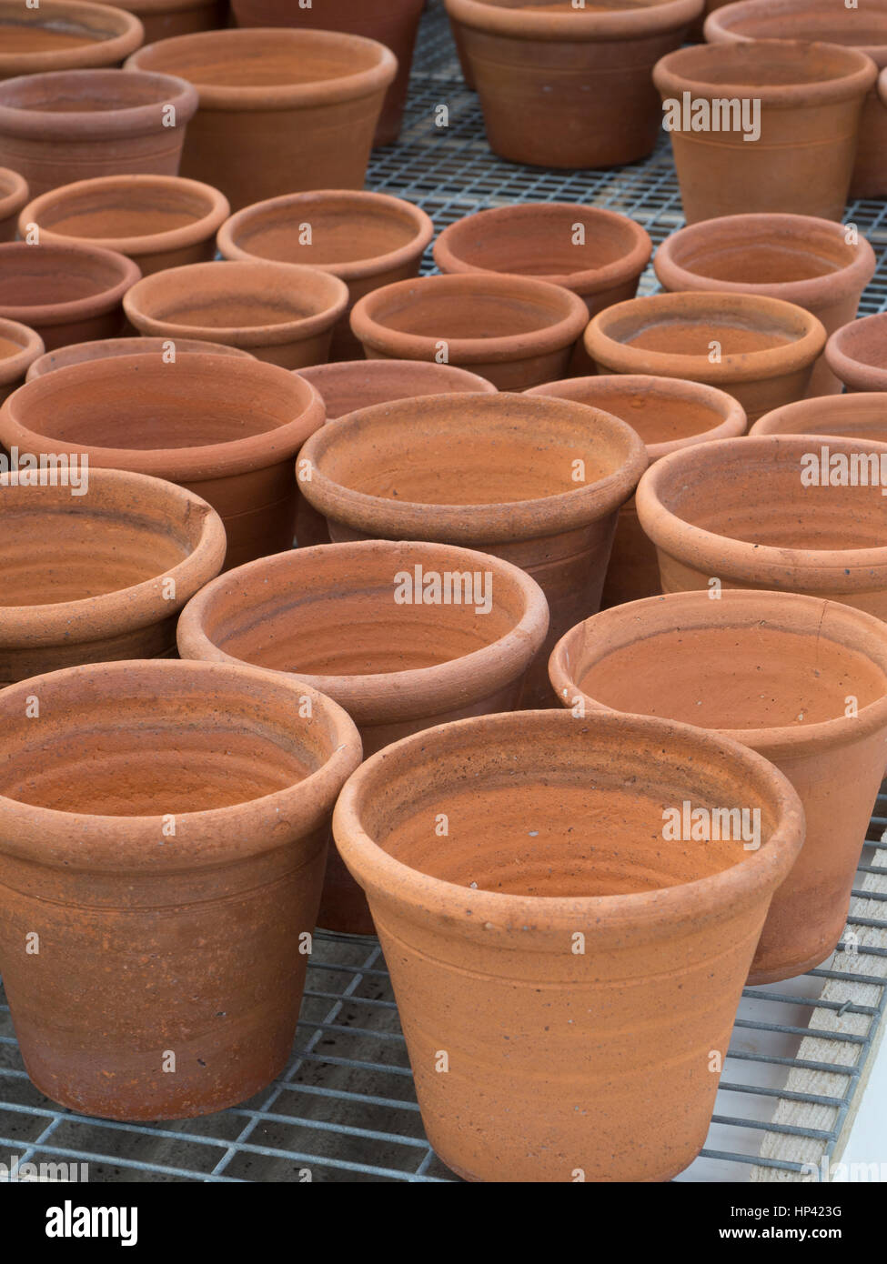 Terracotta pots on greenhouse staging Stock Photo - Alamy