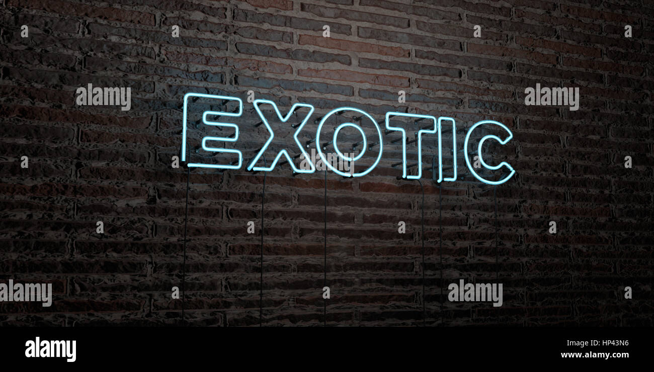 EXOTIC -Realistic Neon Sign on Brick Wall background - 3D rendered ...
