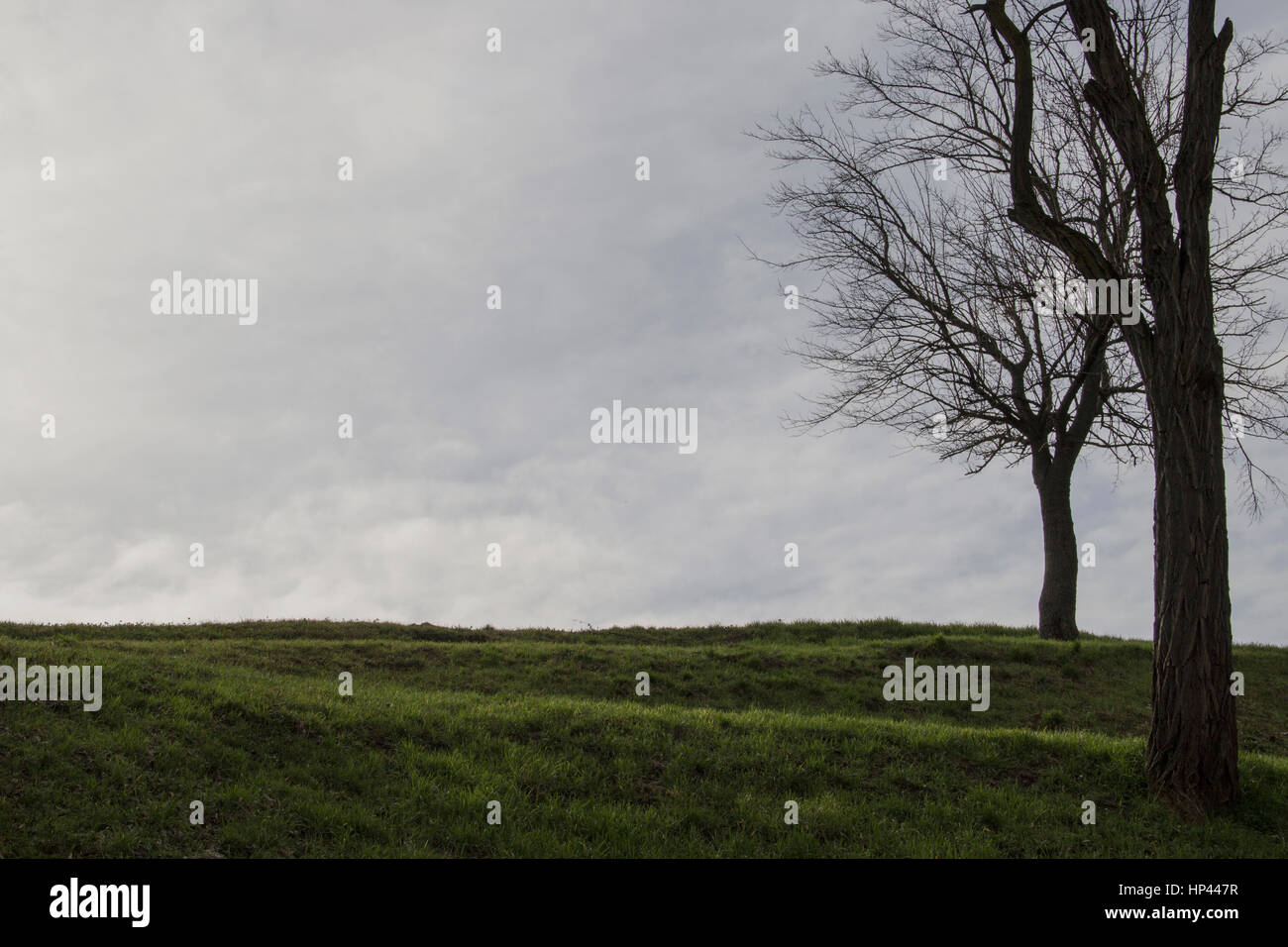 Cloudy landscape hi-res stock photography and images - Alamy