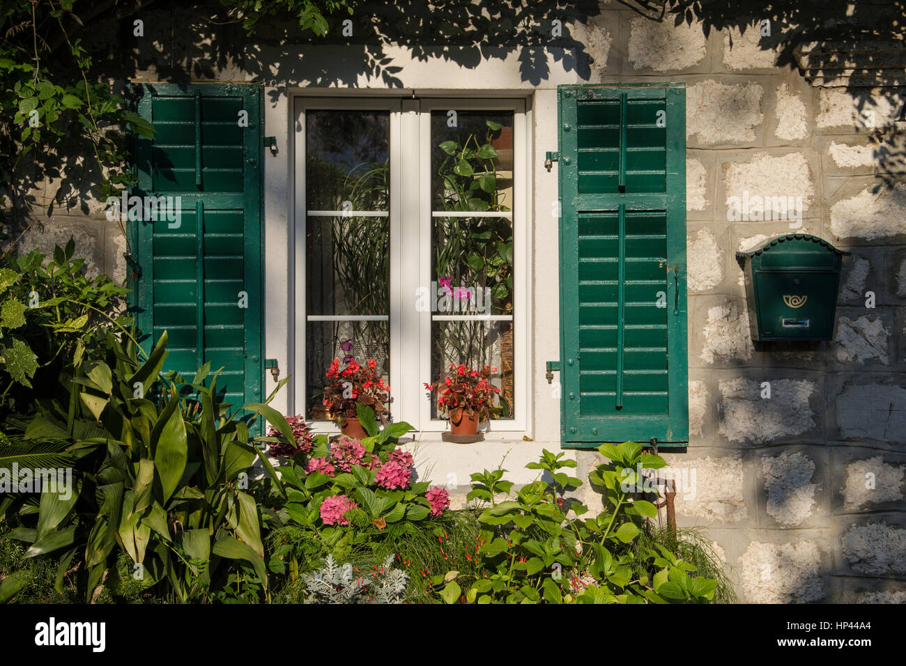 window with flower Stock Photo - Alamy