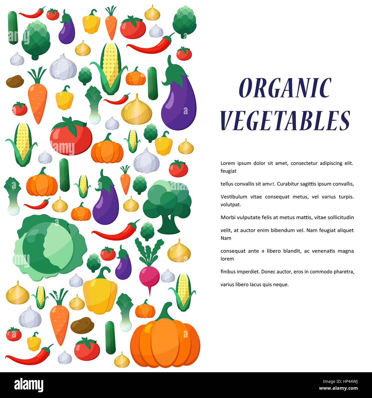 Vegetable garden template hi-res stock photography and images - Alamy