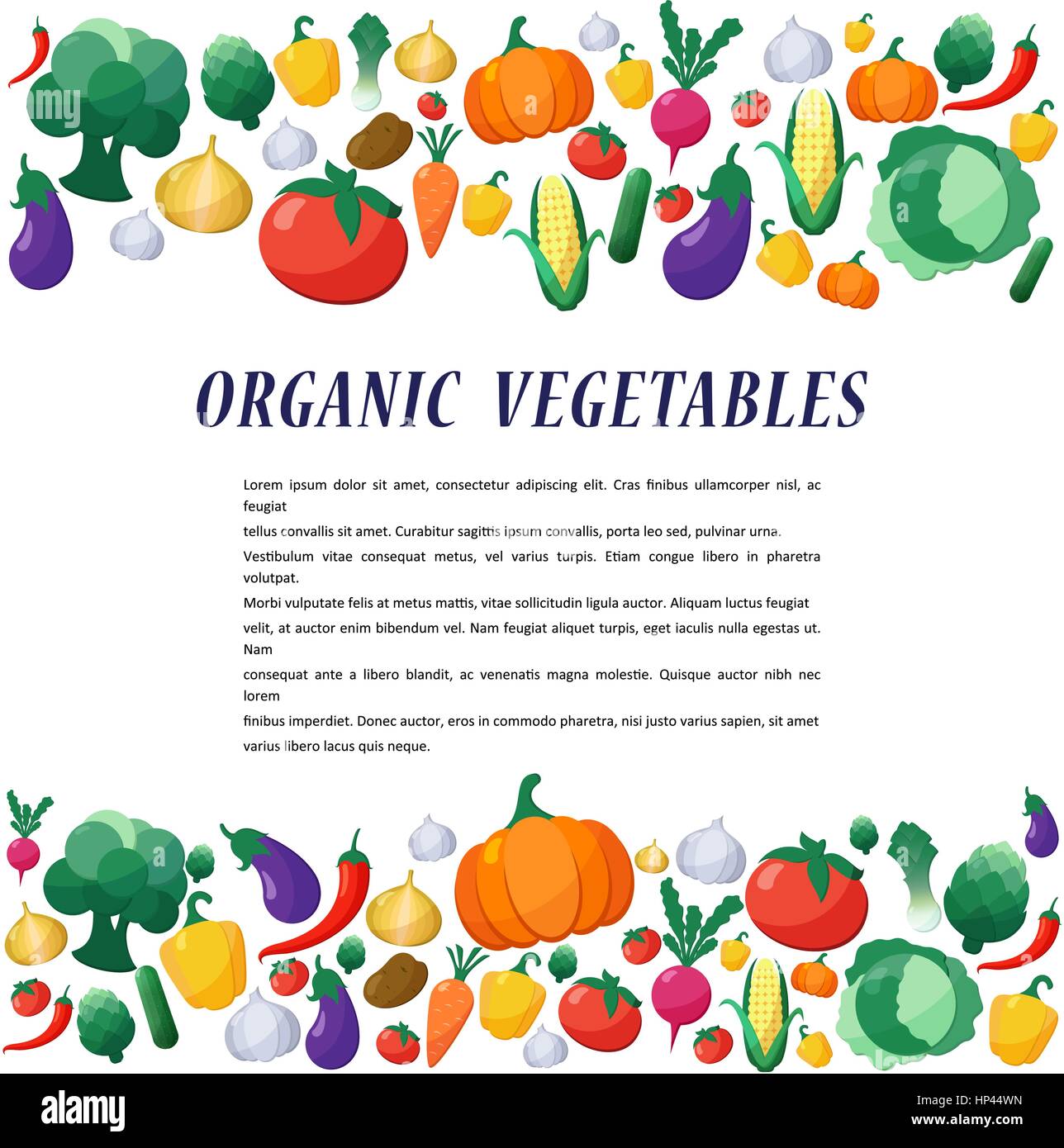 Vegetable garden template hi-res stock photography and images - Alamy