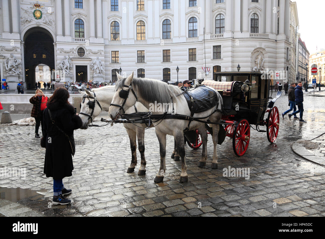 Michaelerplatz Square High Resolution Stock Photography and Images - Alamy