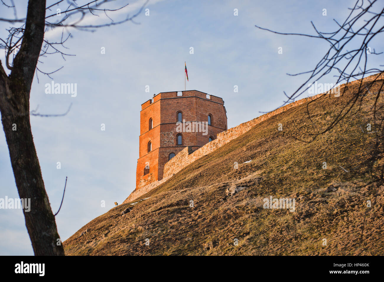 Tower Of Gediminas (Gedimino). Historic Symbol Of The City Of Vilnius ...