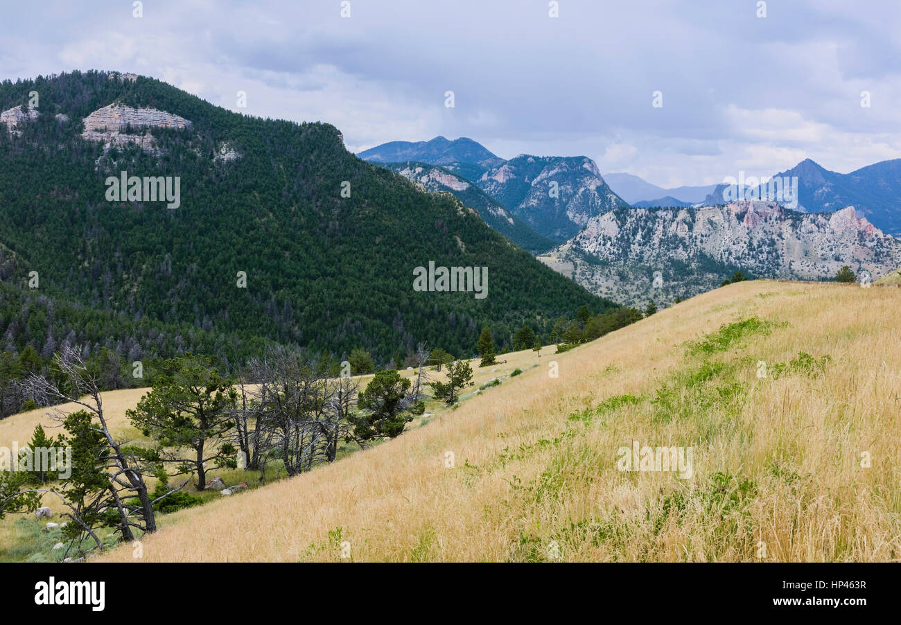Red Lodge, Montana, USA. Bear Tooth Mountains on an overcast day as ...