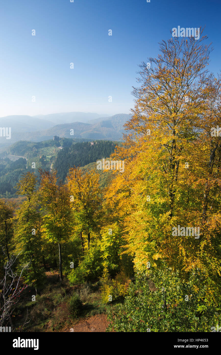 Autumnal View from Castle Löwenstein (North Alsace, France Stock Photo ...