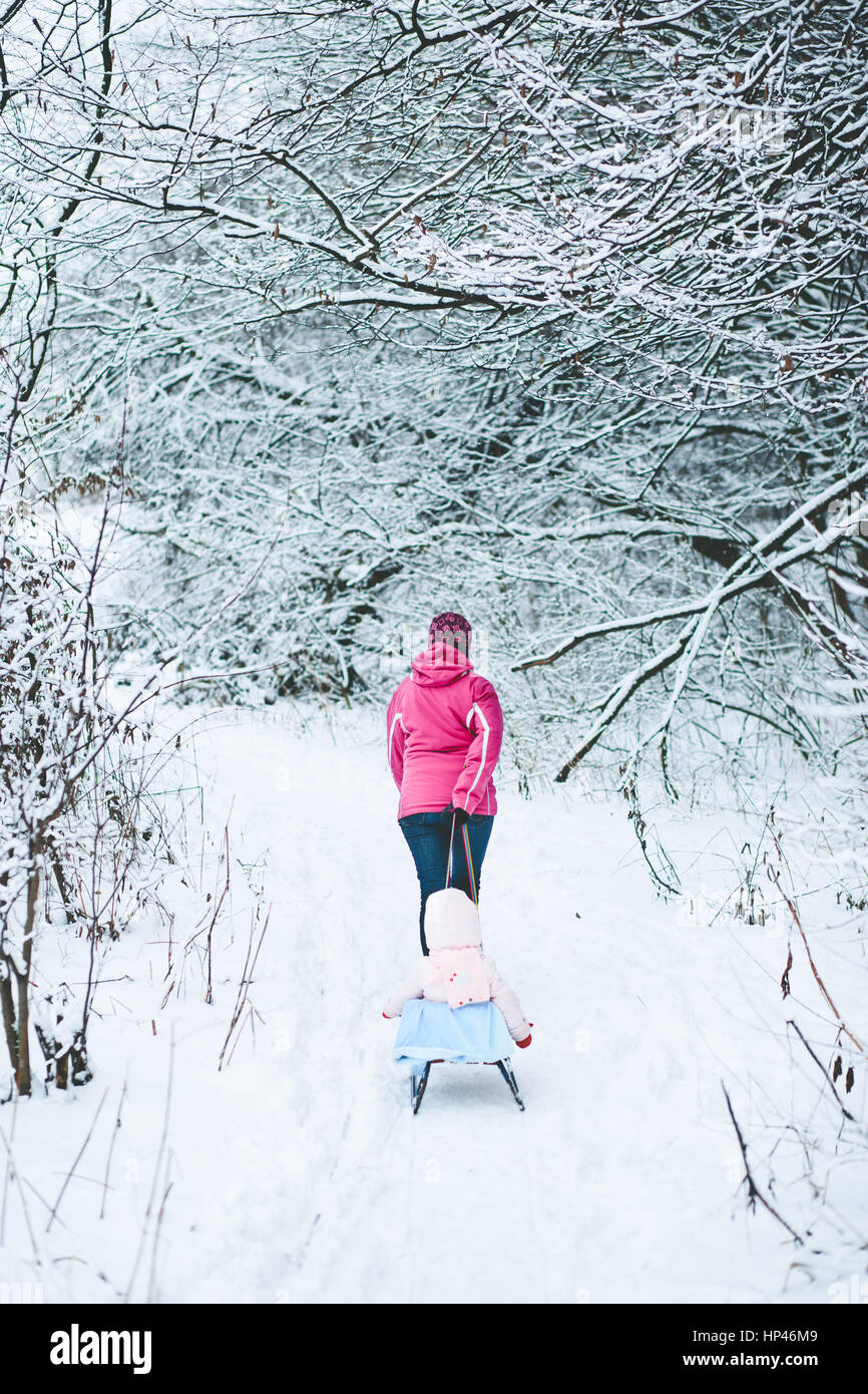 Woman pulling sledge with her little daughter during a walk in the ...