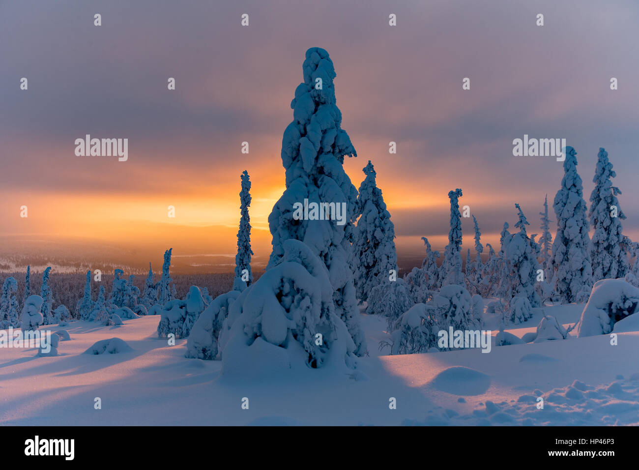 kittila suami finland Stock Photo - Alamy