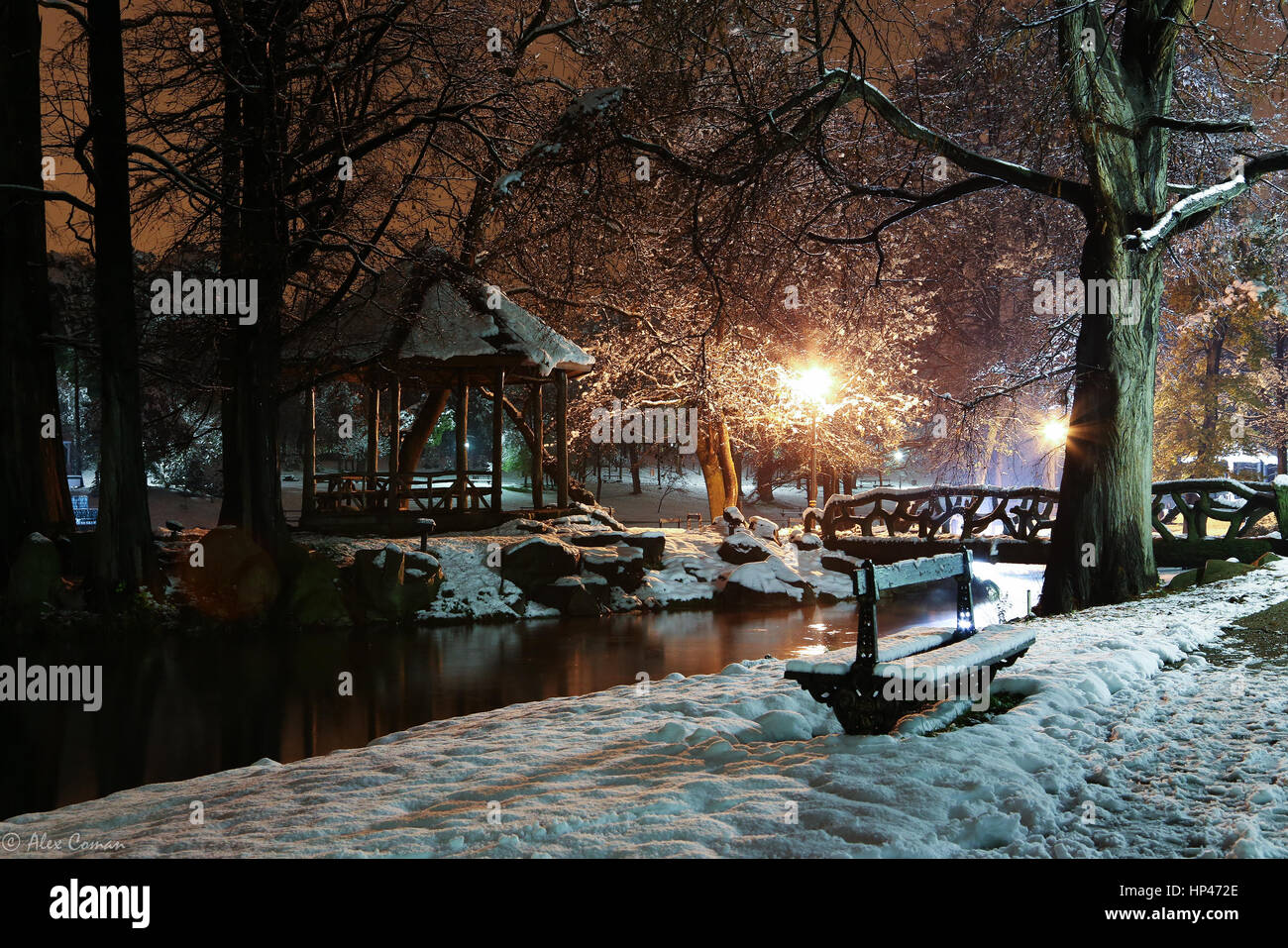 Nicolae romanescu park hi-res stock photography and images - Alamy