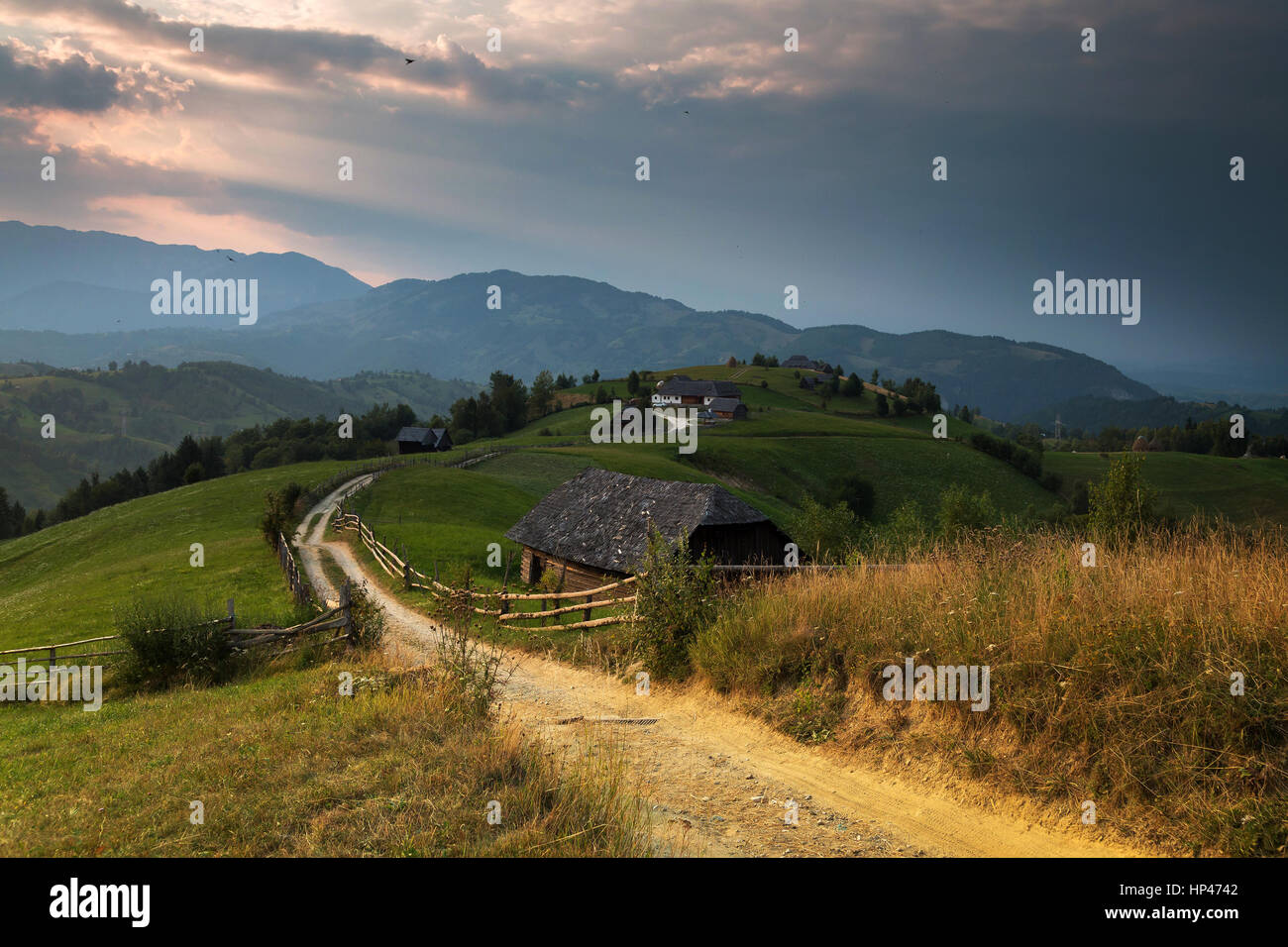 Summer scenic in the Carpathian Mountains, at Bran - Moieciu, Romania ...