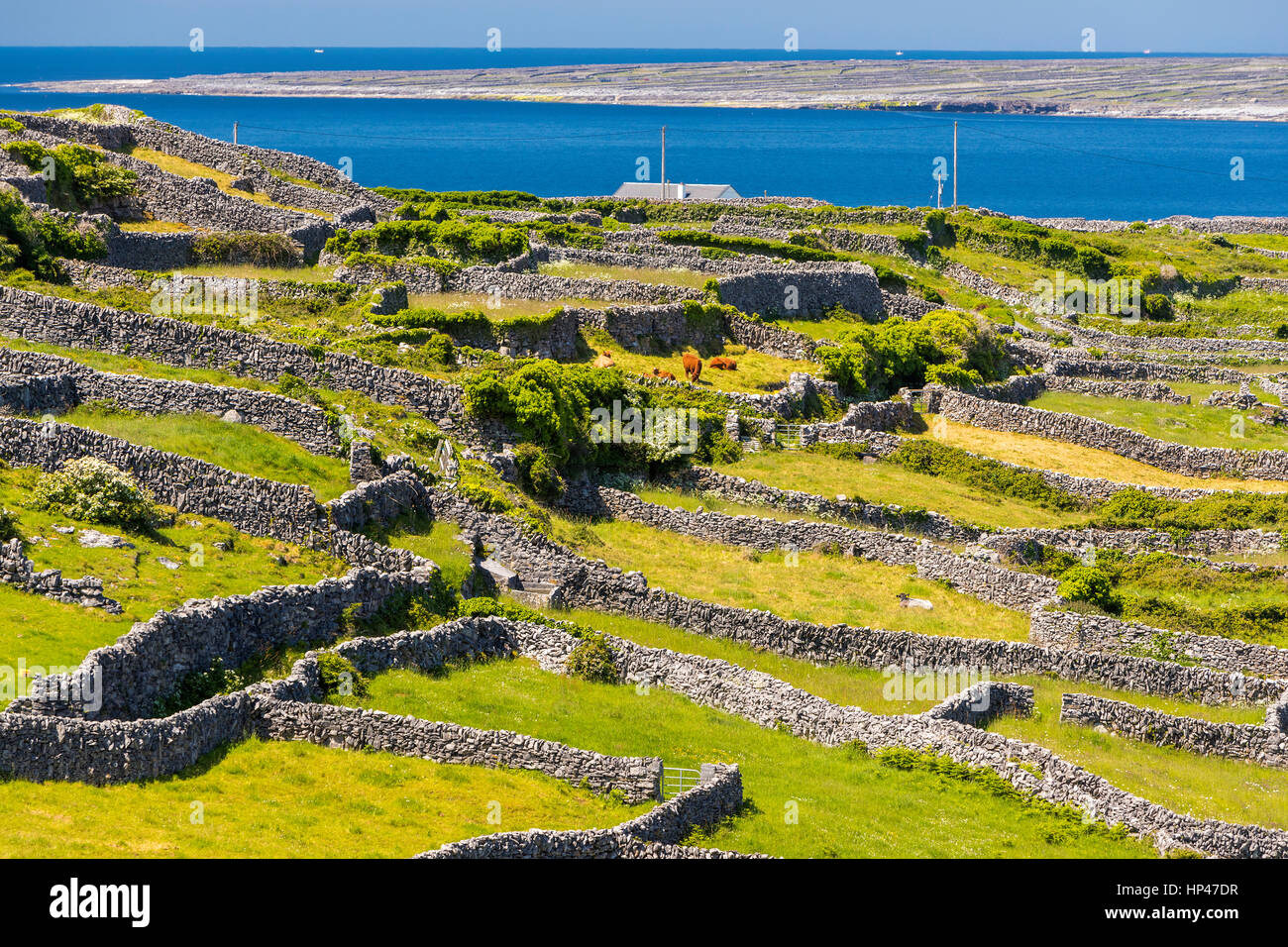 Inis Oirr, County Galway, Ireland, Europe Stock Photo - Alamy