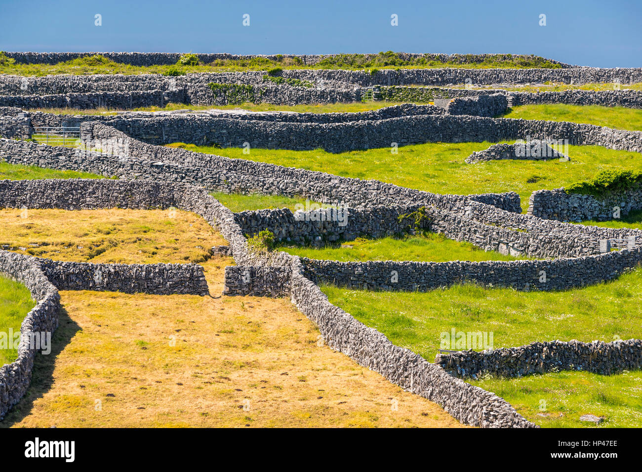 Inis Oirr, County Galway, Ireland, Europe Stock Photo - Alamy