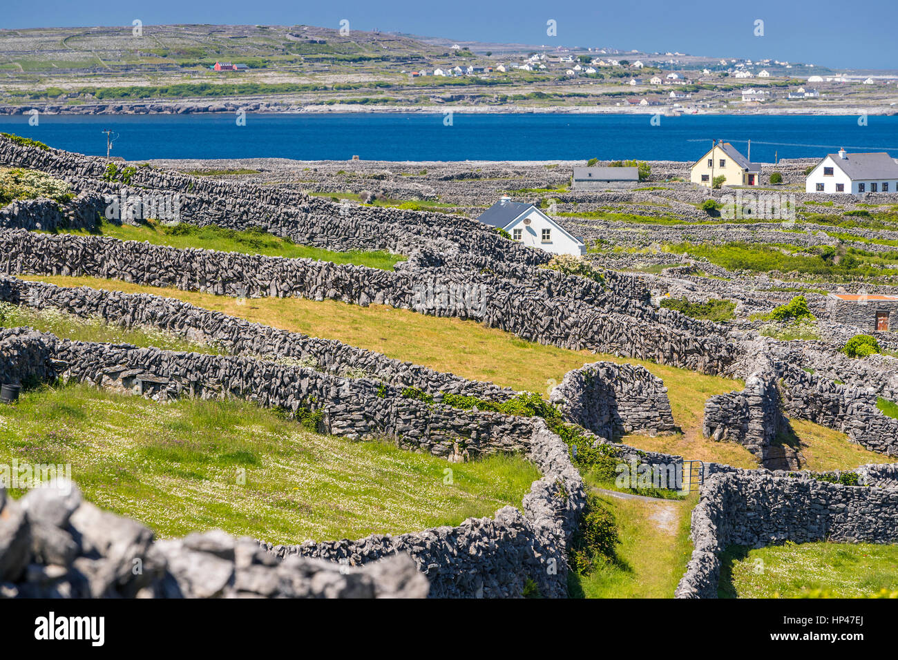 Inis Oirr, County Galway, Ireland, Europe Stock Photo - Alamy