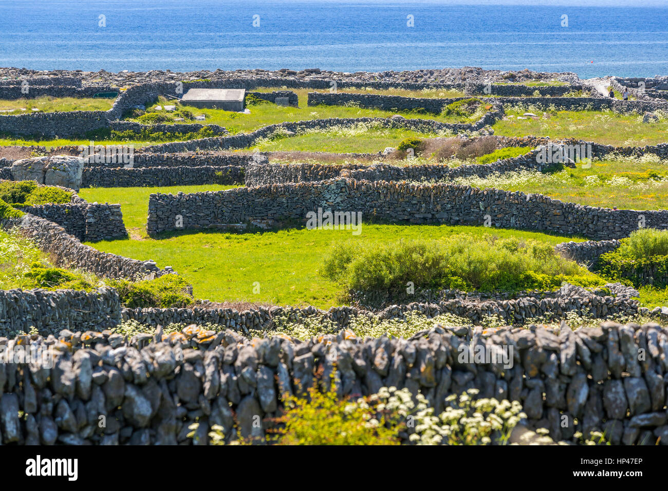 Inis Oirr, County Galway, Ireland, Europe Stock Photo - Alamy