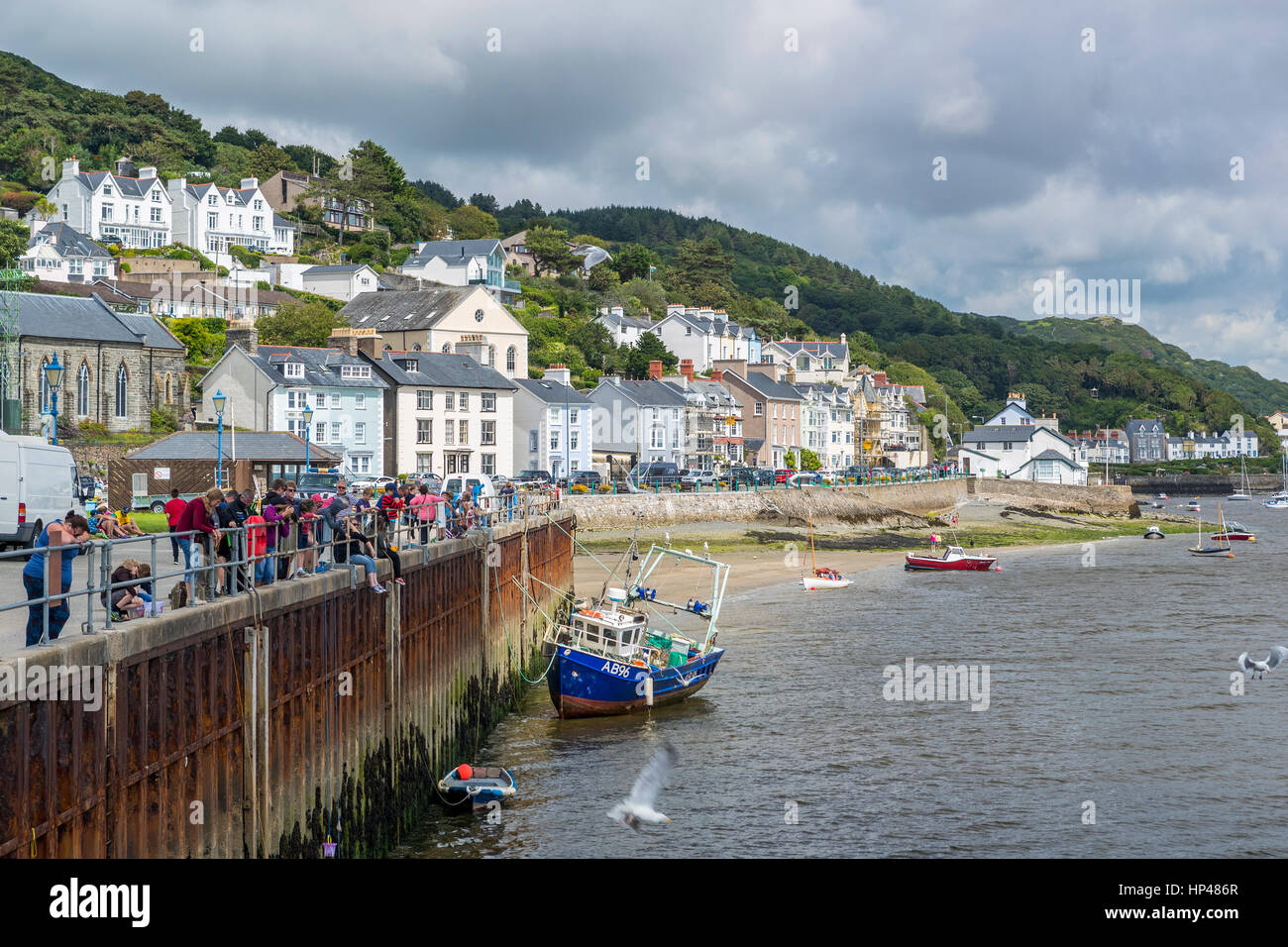 Aberdyfi, Gwynedd, Wales, United Kingdom, Europe Stock Photo - Alamy