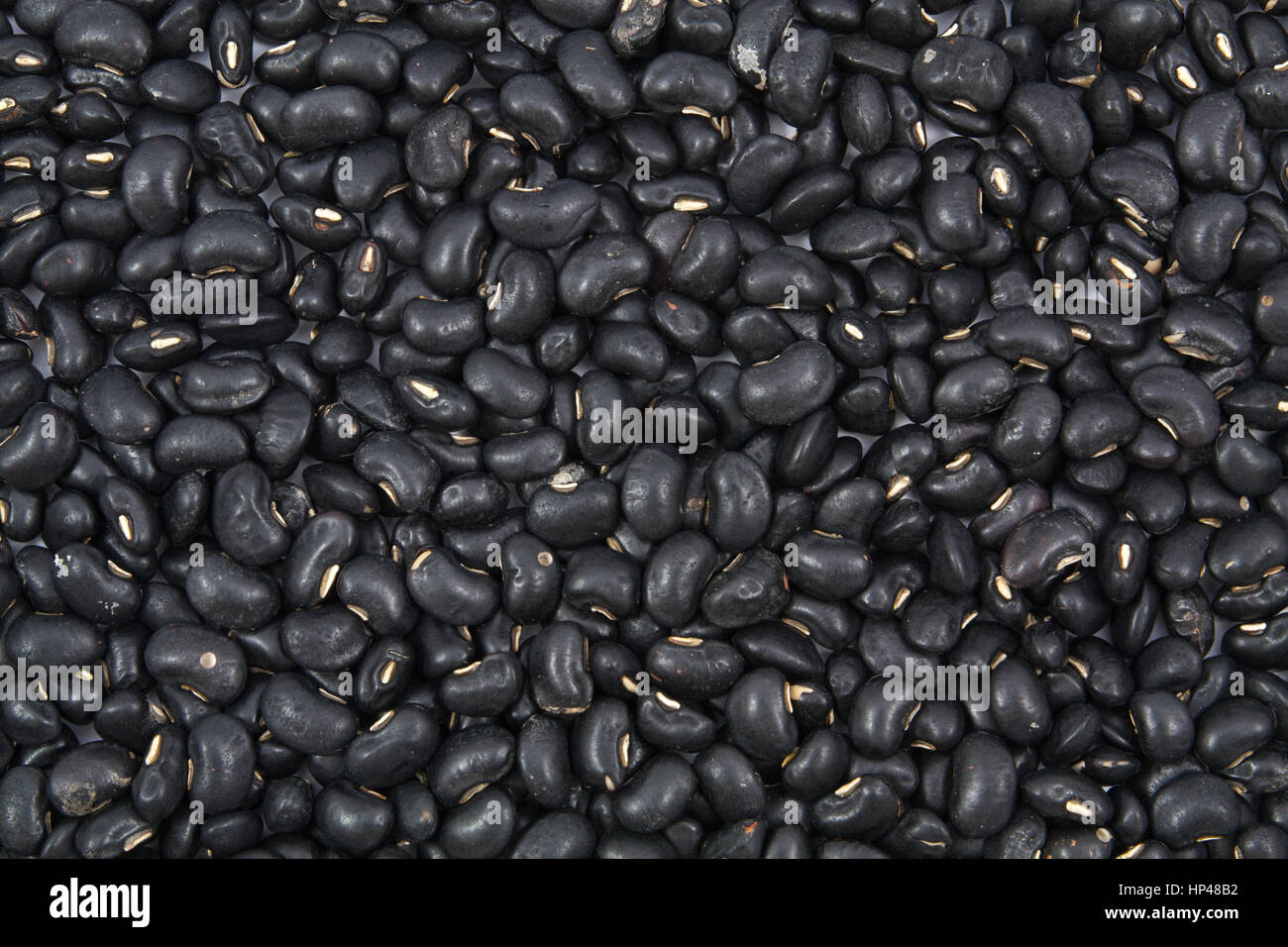 Black Beans texture background Stock Photo - Alamy