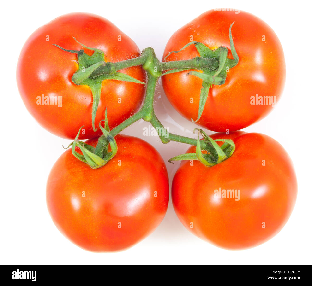 four tomato on white background Stock Photo - Alamy