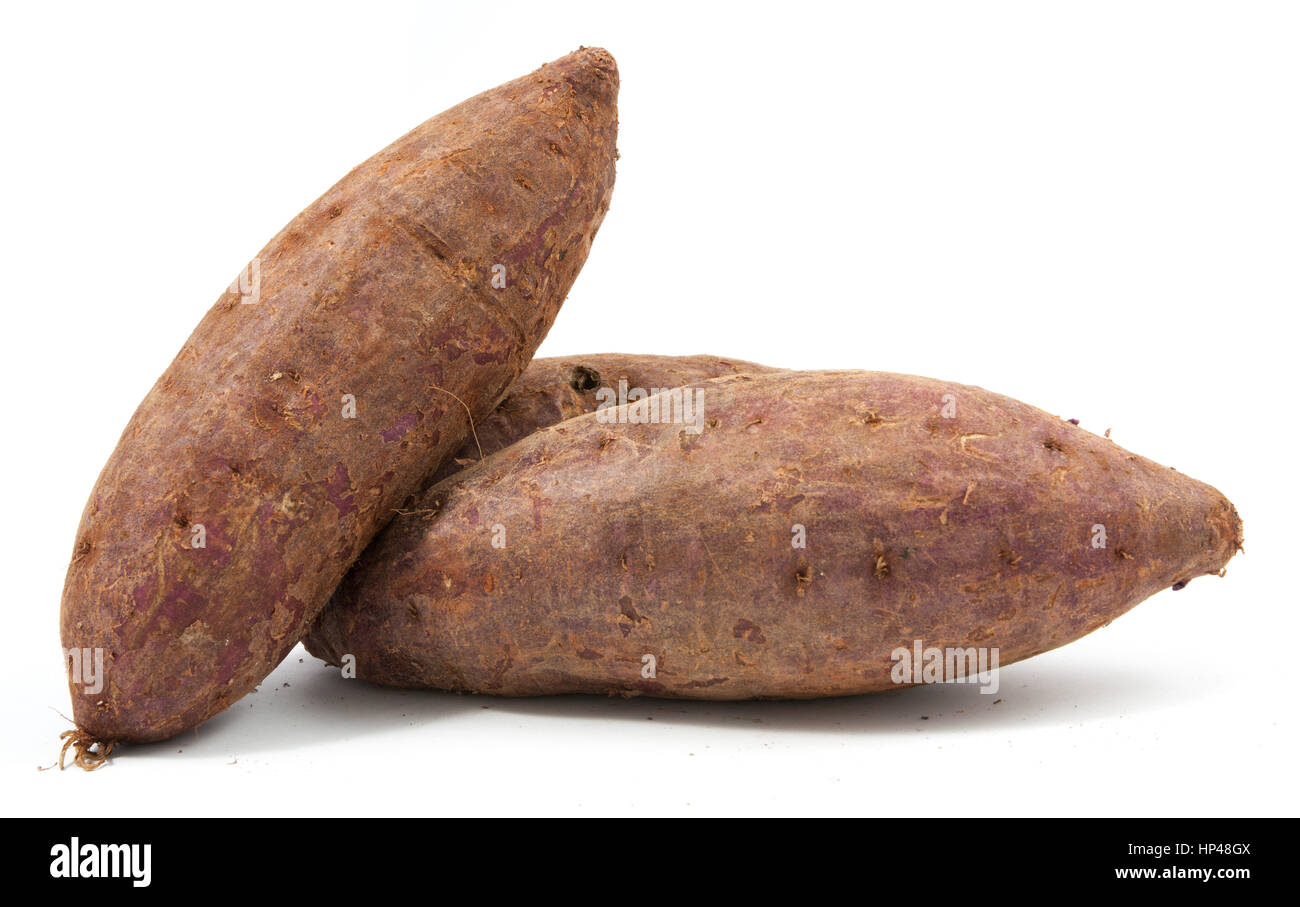 tapioca plants cassava closeup isolated on white background Stock Photo ...