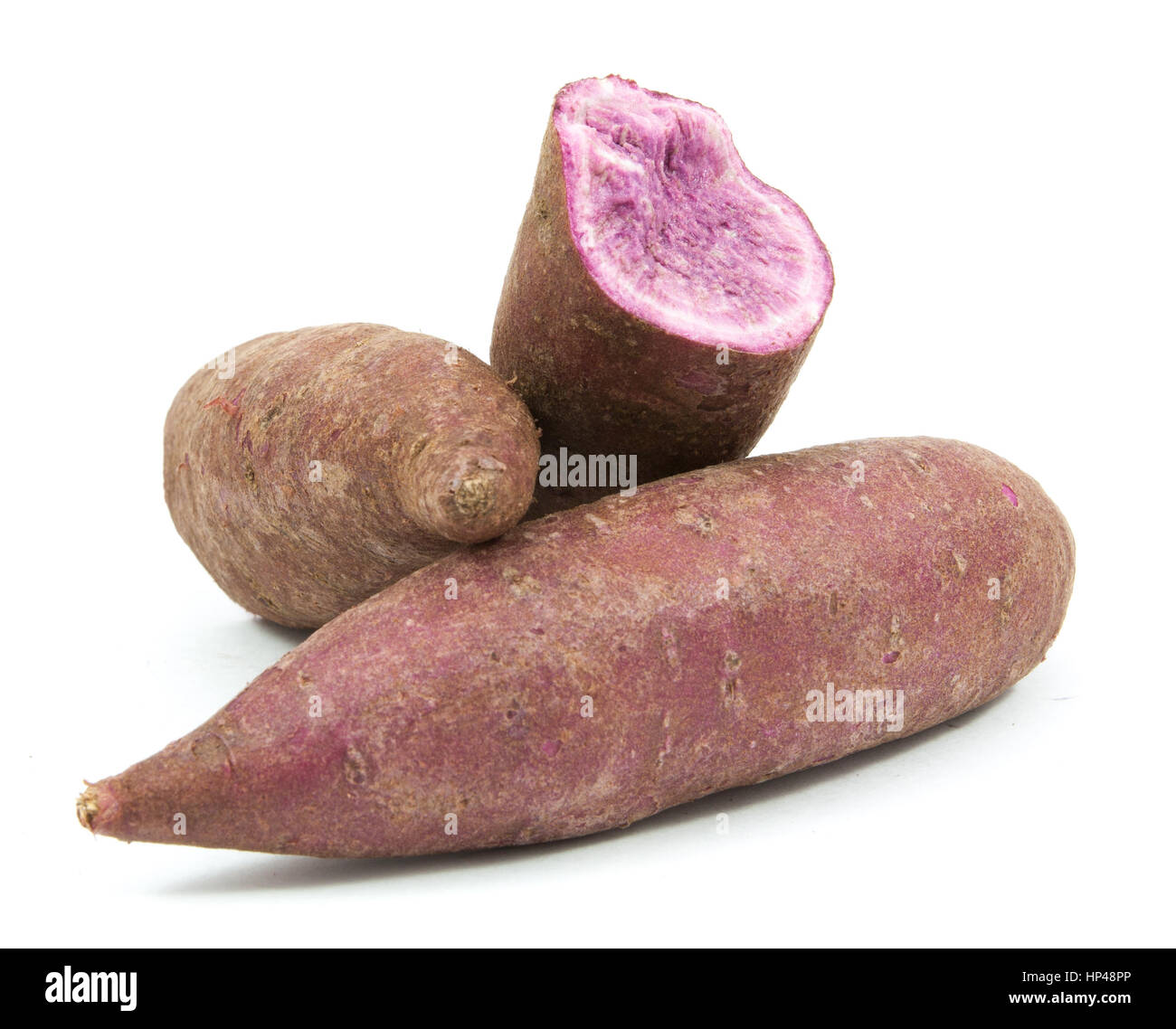 tapioca plants cassava closeup isolated on white background Stock Photo ...