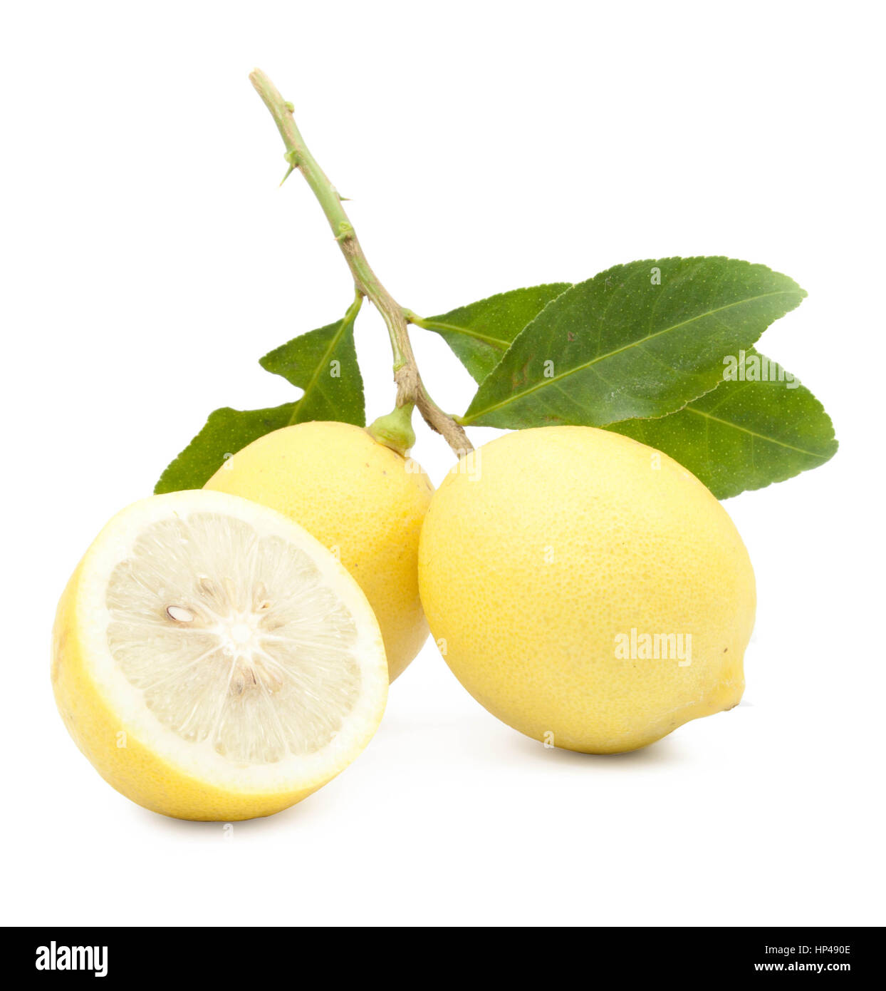 two ripe lemon slide in closeup isolated on white background Stock ...