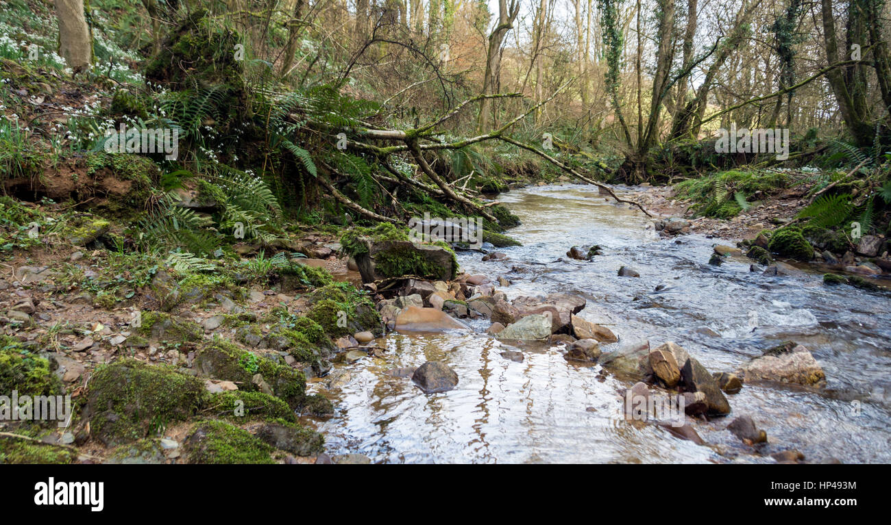 Valley just outside WheddonCross on Exmoor that is thought to have been ...