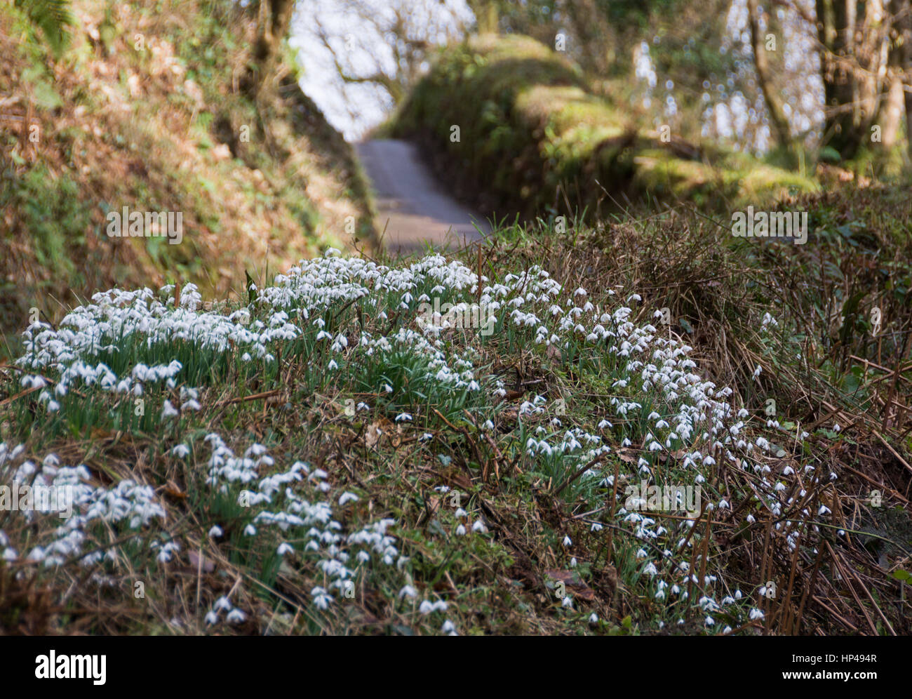 Valley just outside WheddonCross on Exmoor that is thought to have been ...