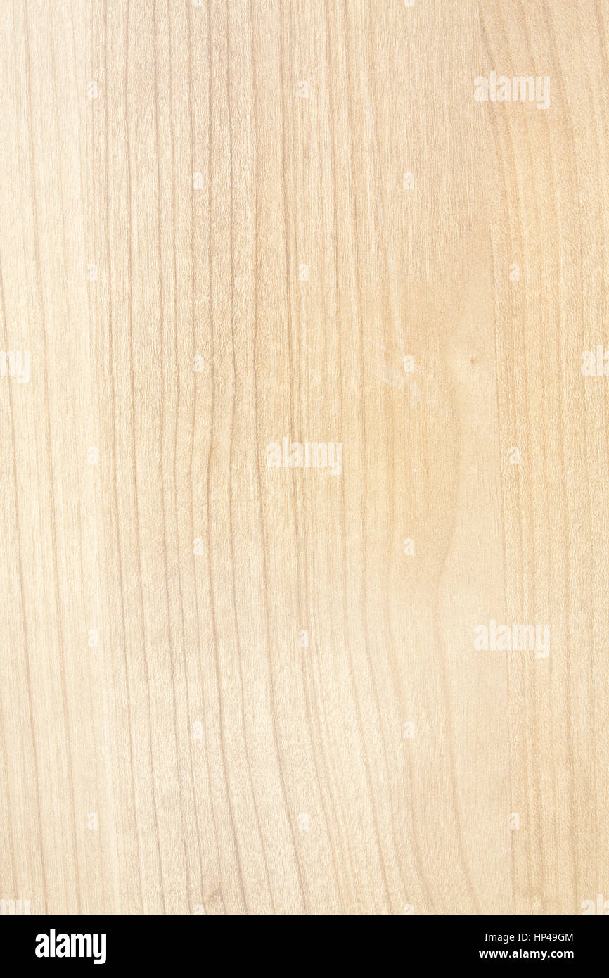 Wood blonde texture for background Stock Photo - Alamy