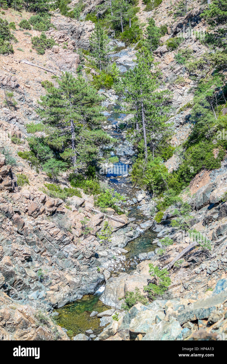 Valley River Trees - Vadi Nehir Agaclar Stock Photo - Alamy