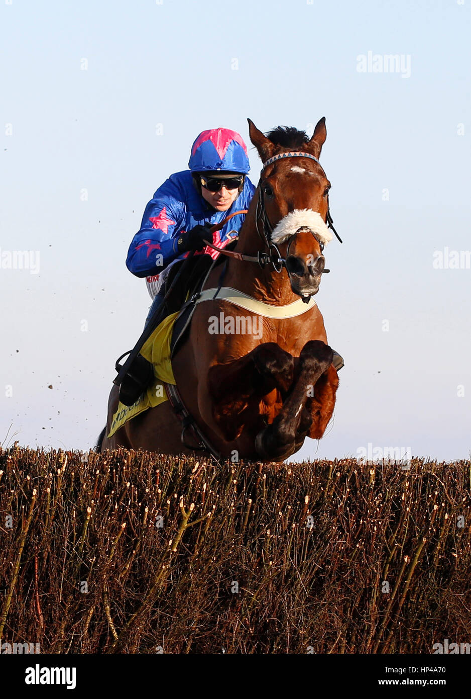 Cue Card ridden by Paddy Brennan clears the last fence before going on ...