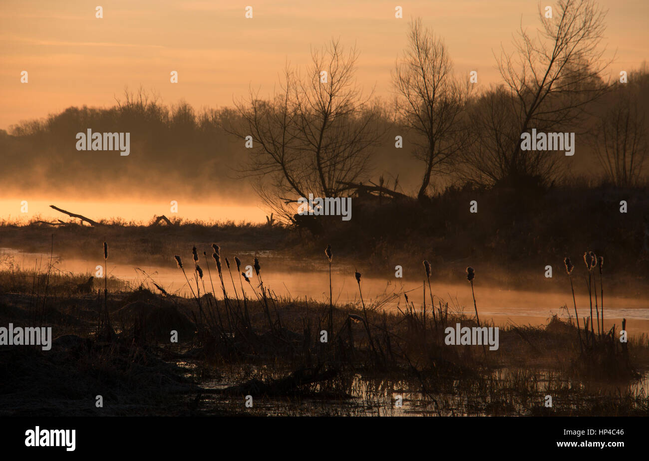A bit of fog over the river Stock Photo - Alamy