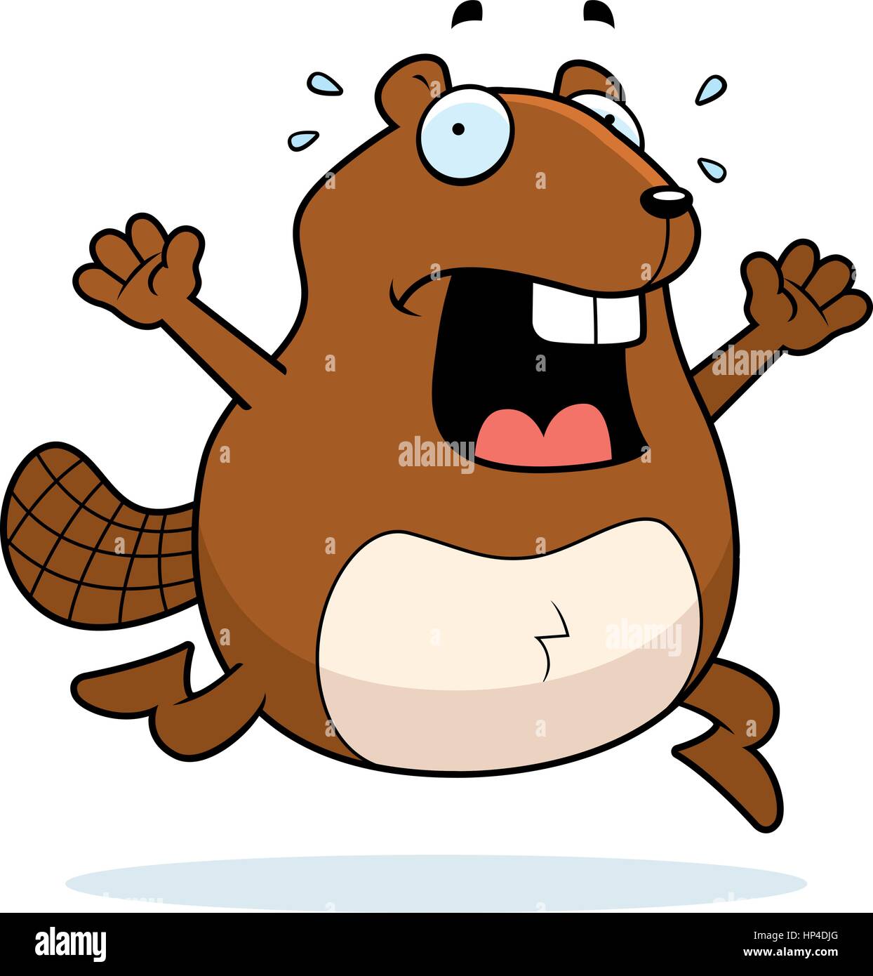 A cartoon beaver running in a panic Stock Vector Image & Art - Alamy